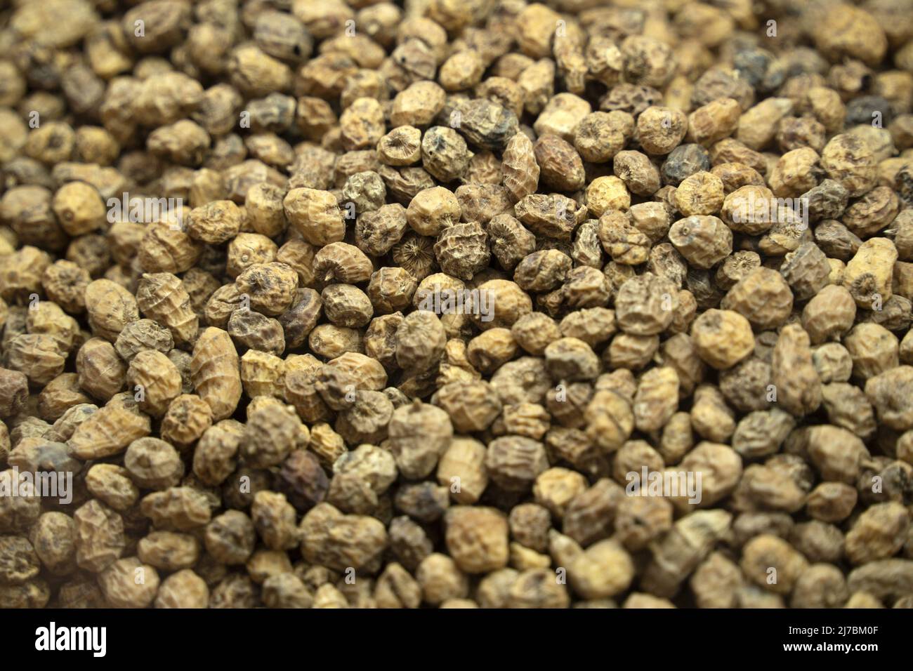 Alboraya chufa valencia typical snack at the market Stock Photo - Alamy