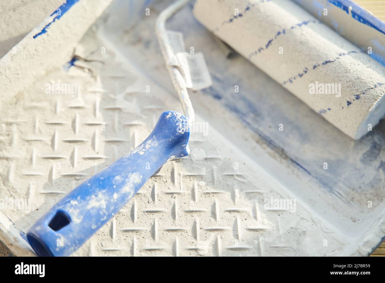 Roller in white paint in a container Stock Photo - Alamy