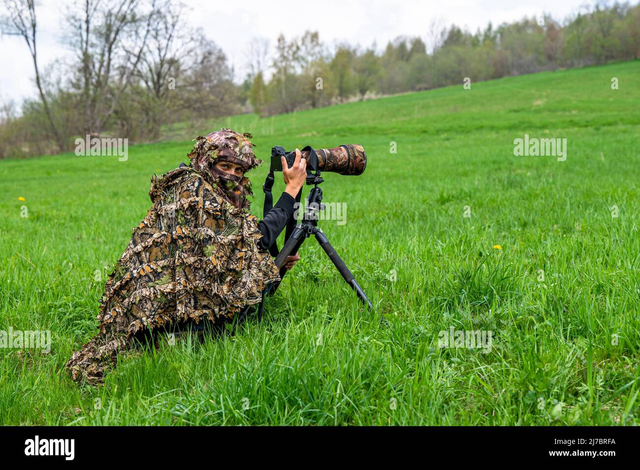 A female nature photographer waiting hidden for an animal Stock Photo ...