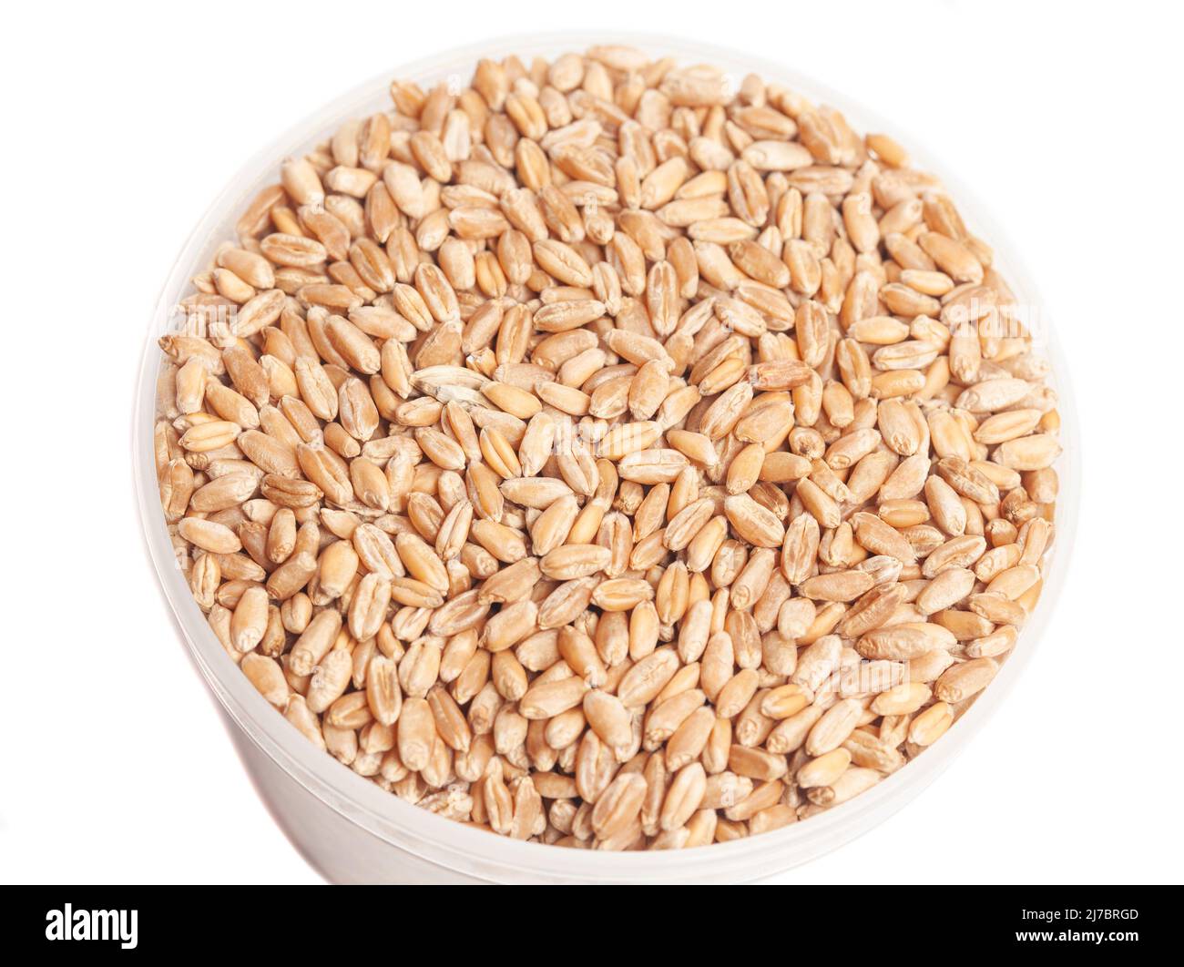 Wheat grains in bowl isolated on white background Stock Photo - Alamy