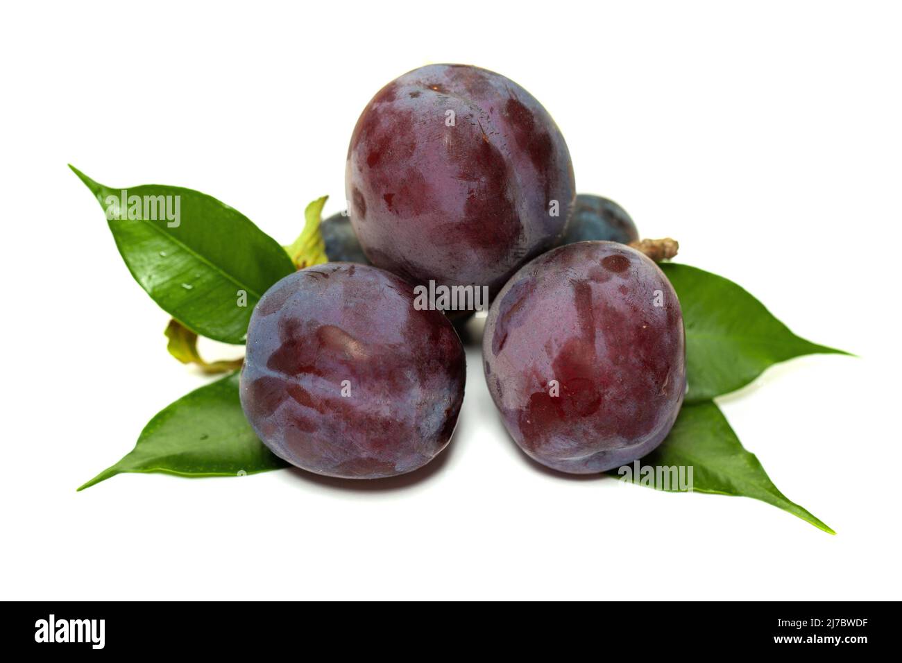 Organic plums isolated on white background Stock Photo - Alamy