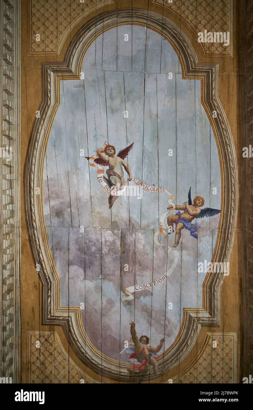 Tavole legno hi-res stock photography and images - Alamy