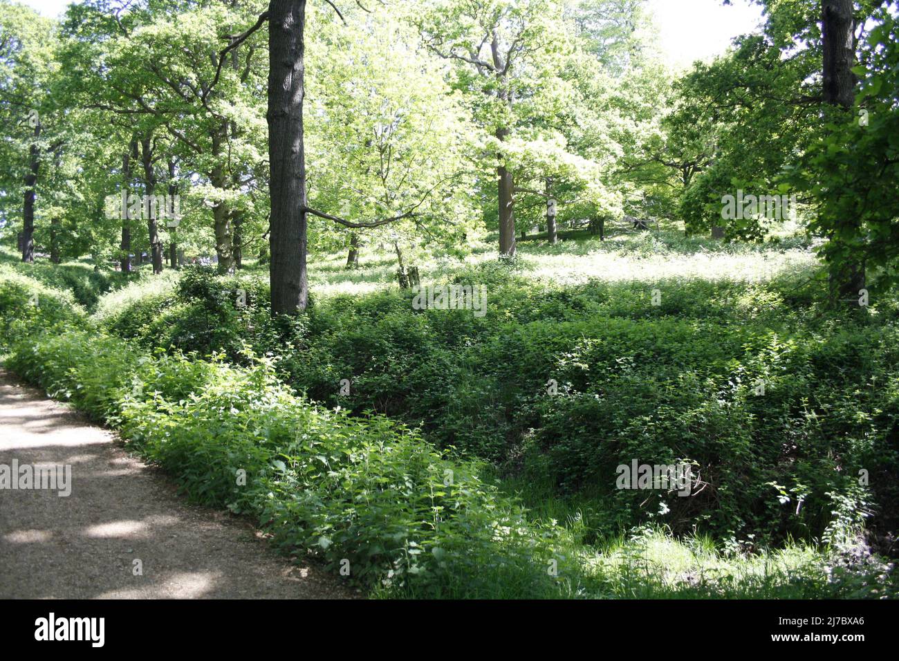 Bright day hi-res stock photography and images - Alamy