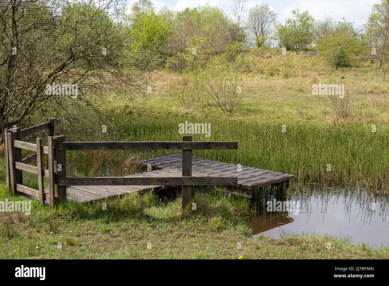 Jetty on a pond hi-res stock photography and images - Alamy