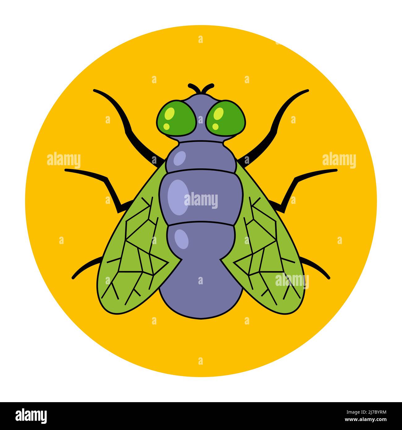 flat green fly on a white background. insect flat vector illustration ...