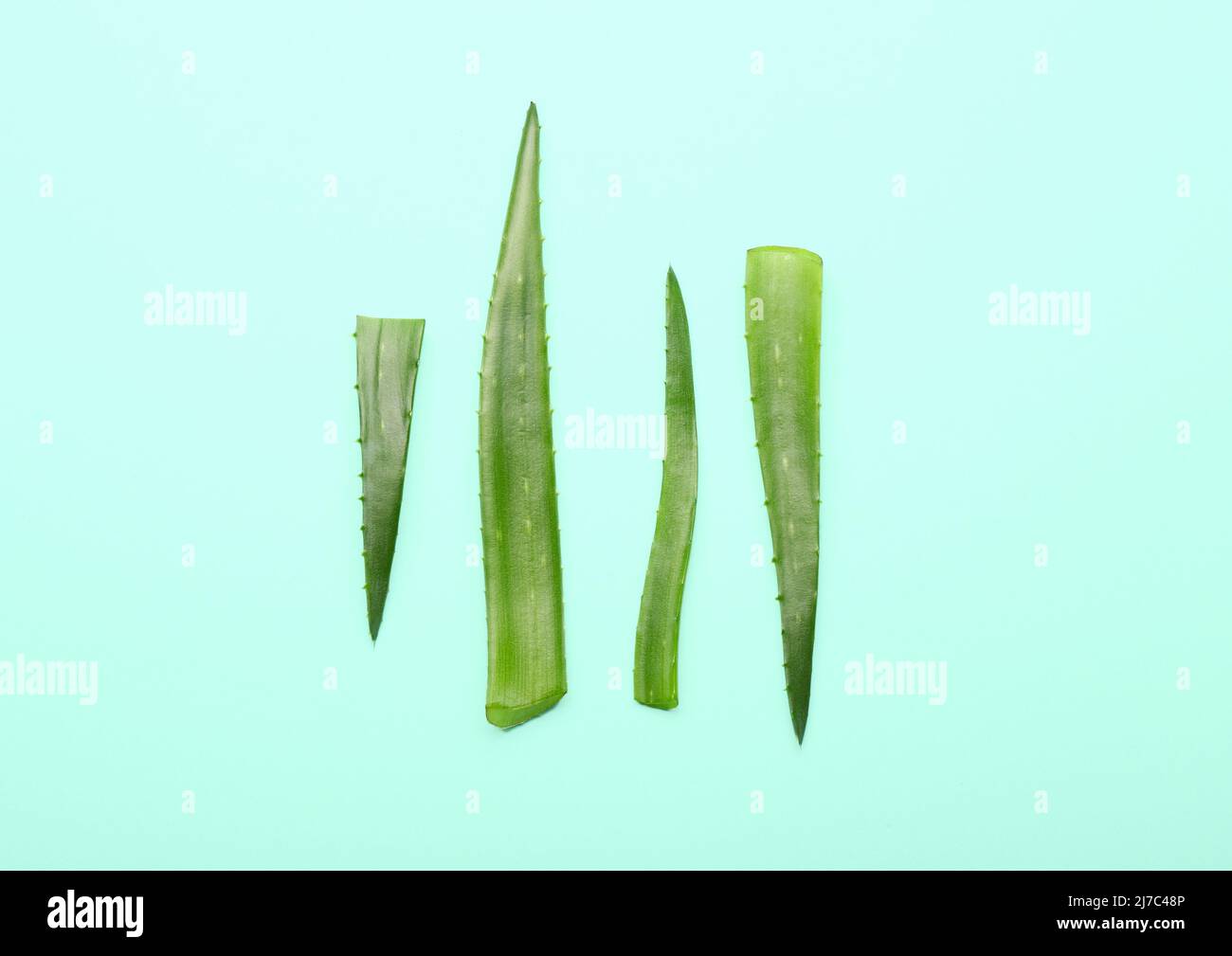 Fresh cut aloe vera leaves on color background Stock Photo - Alamy