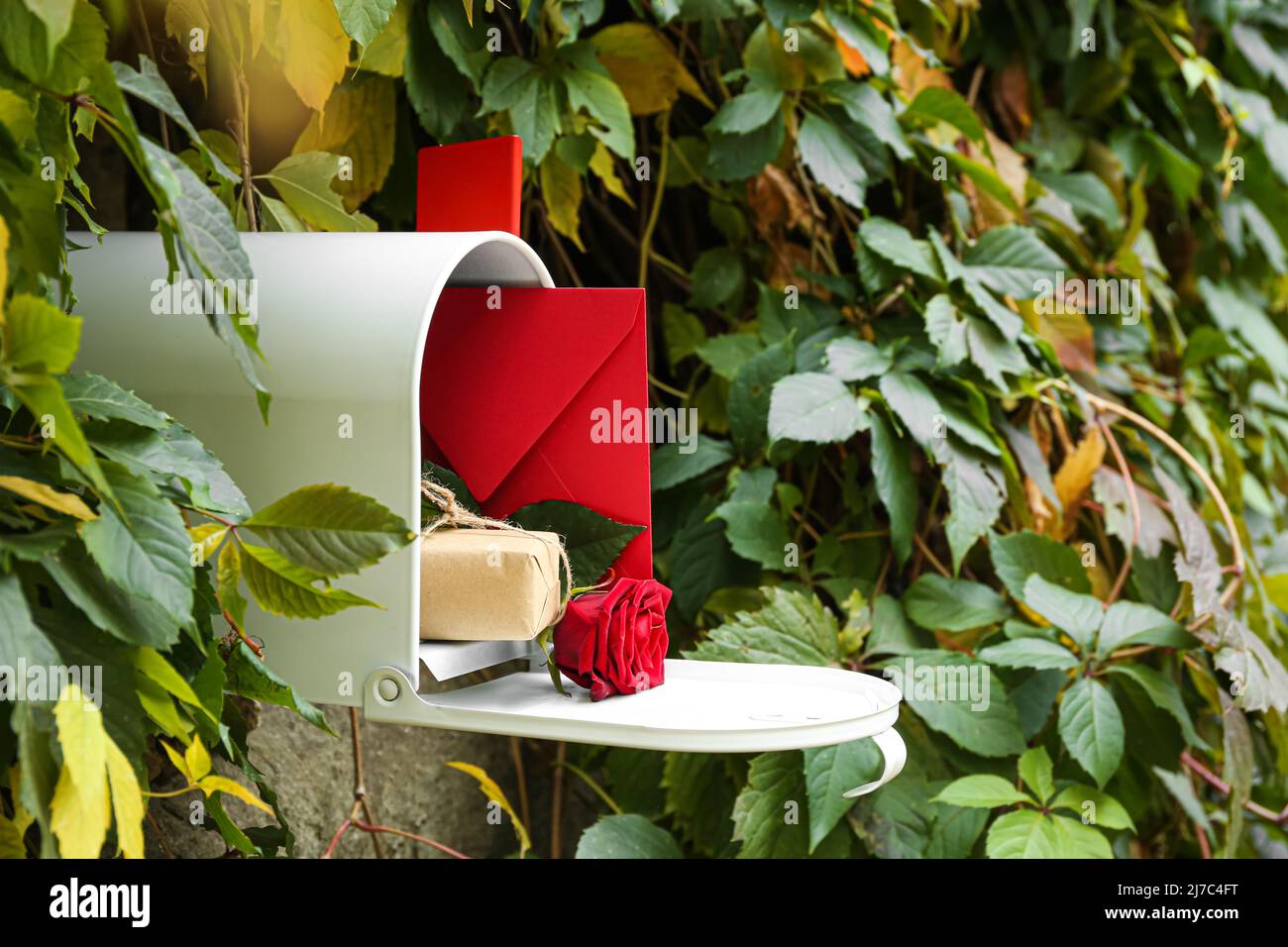 Mail box with envelope, gift and rose flower outdoors Stock Photo - Alamy