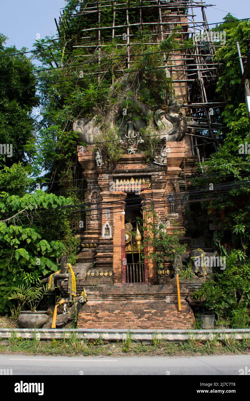 Ron phibun hi-res stock photography and images - Alamy