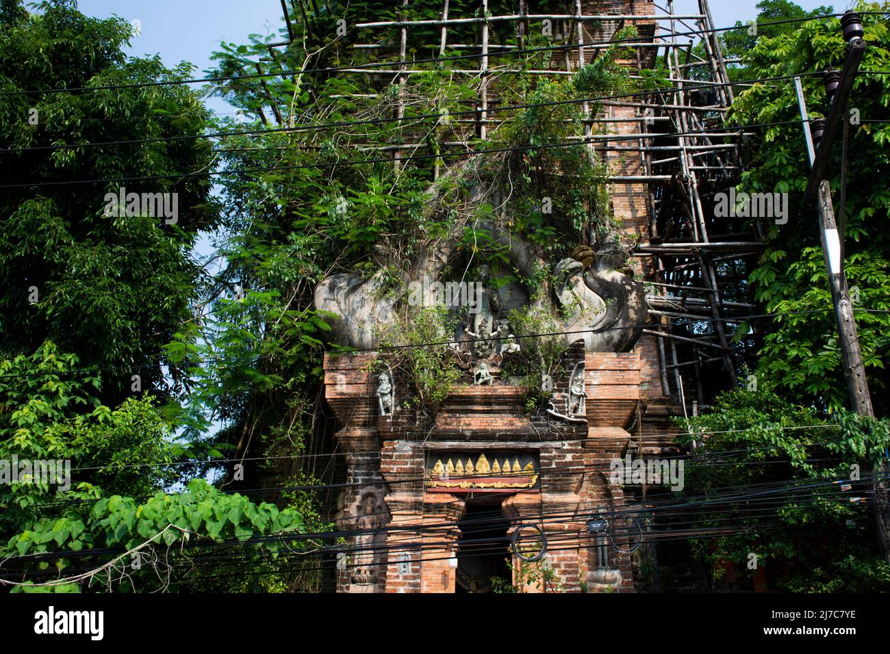 Ron phibun hi-res stock photography and images - Alamy