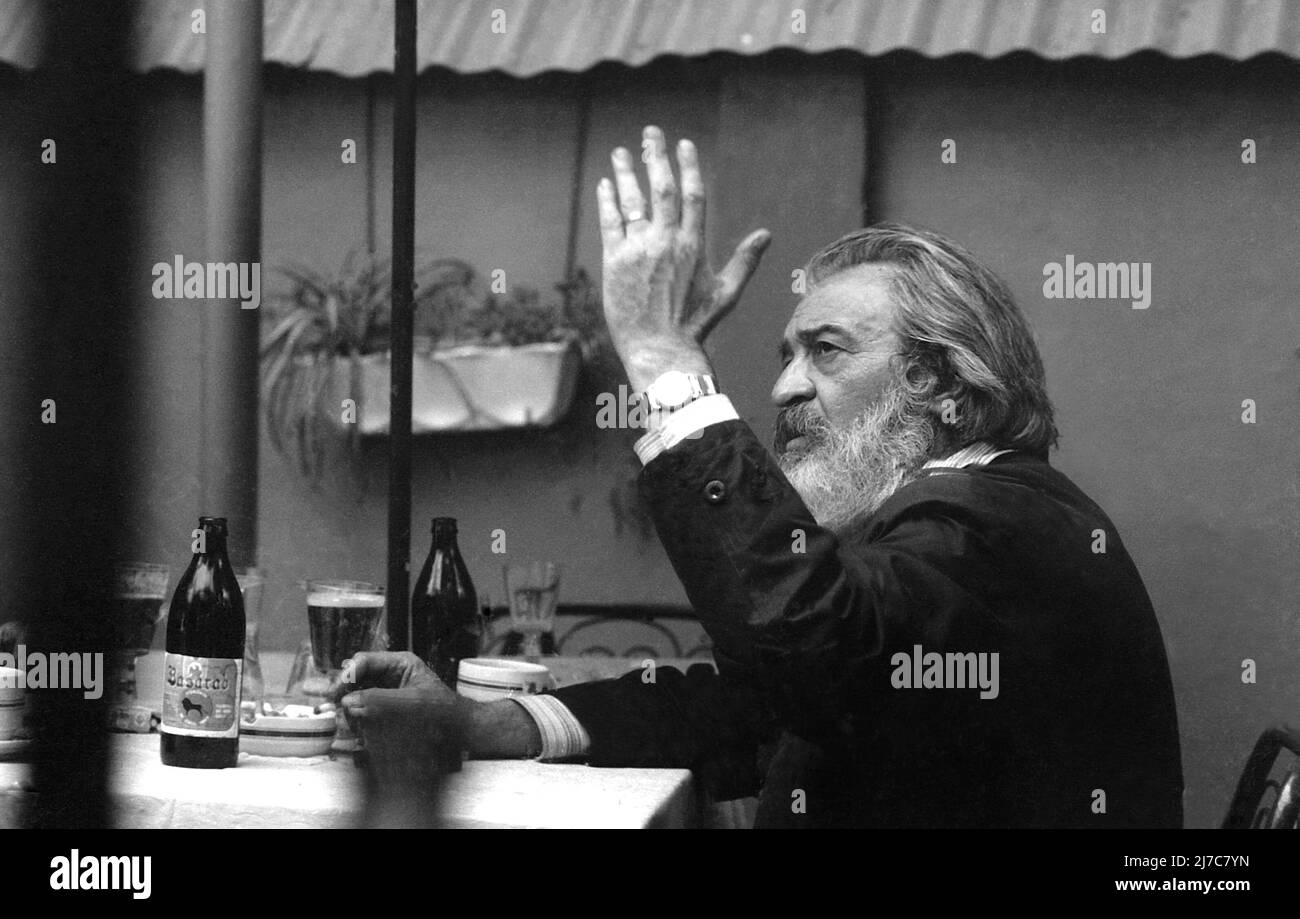 Romulus Vulpescu High Resolution Stock Photography and Images - Alamy