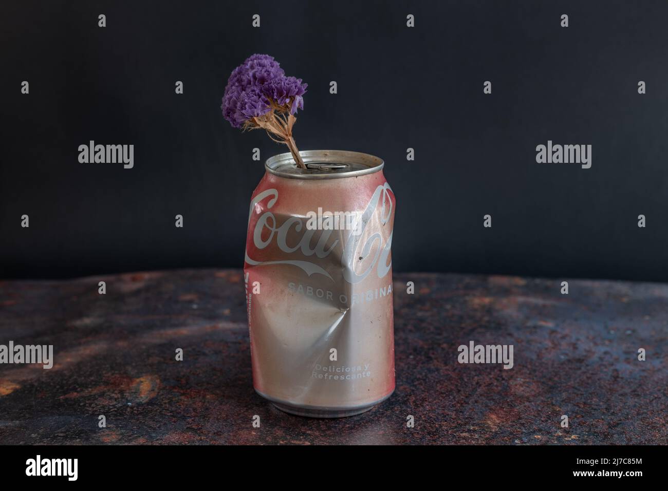 Old rusty Coca-Cola can with a purple flower inside with a black ...
