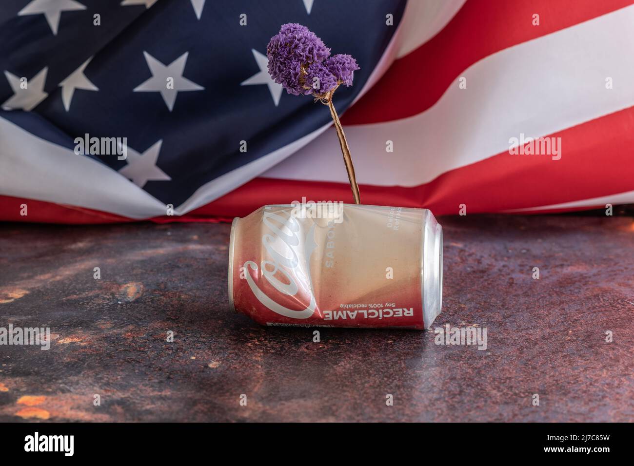 Coke Boys American Flag