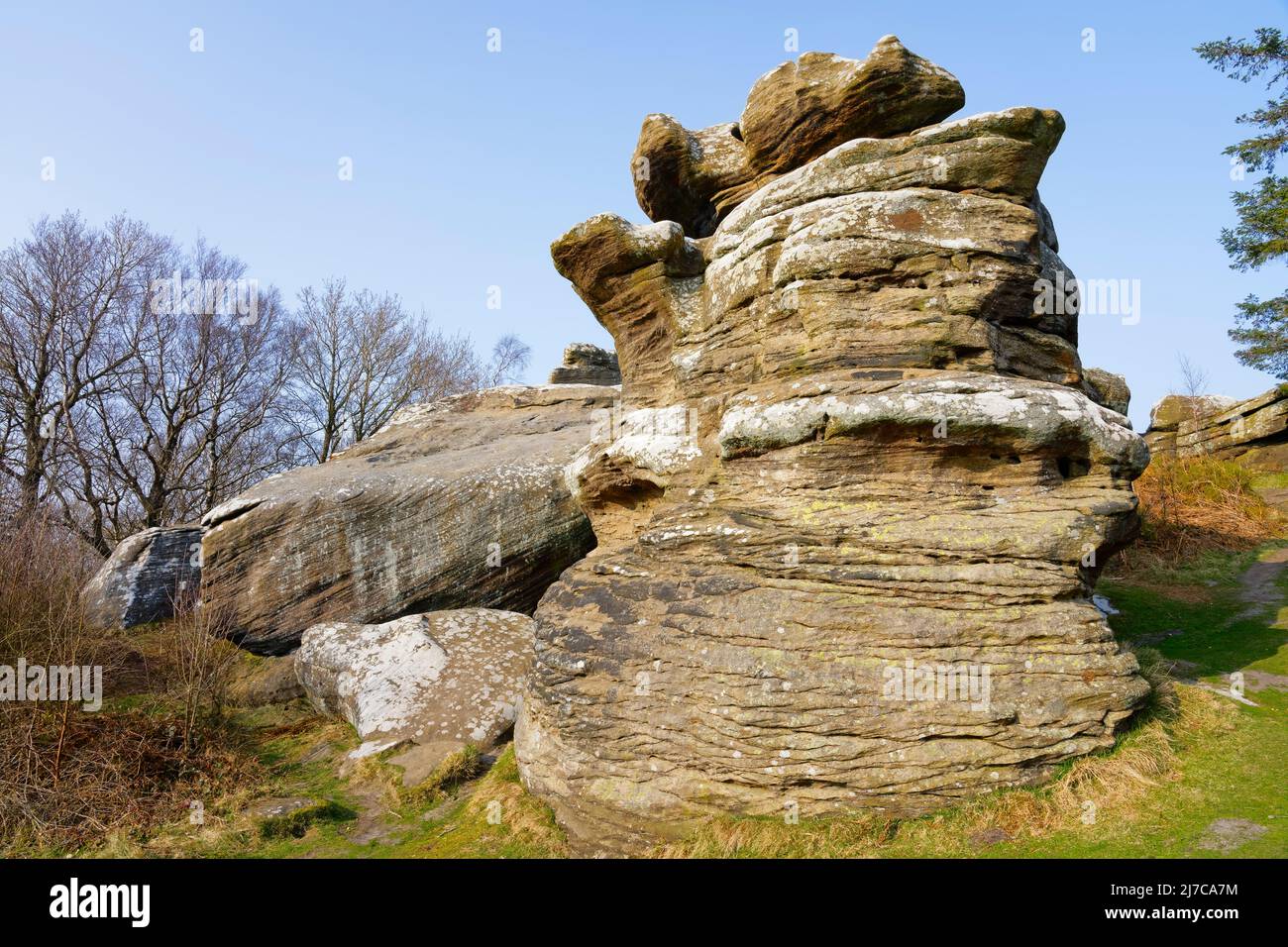 Large weathered gritstone outcrop known as the Dancing Bear at Brimham ...