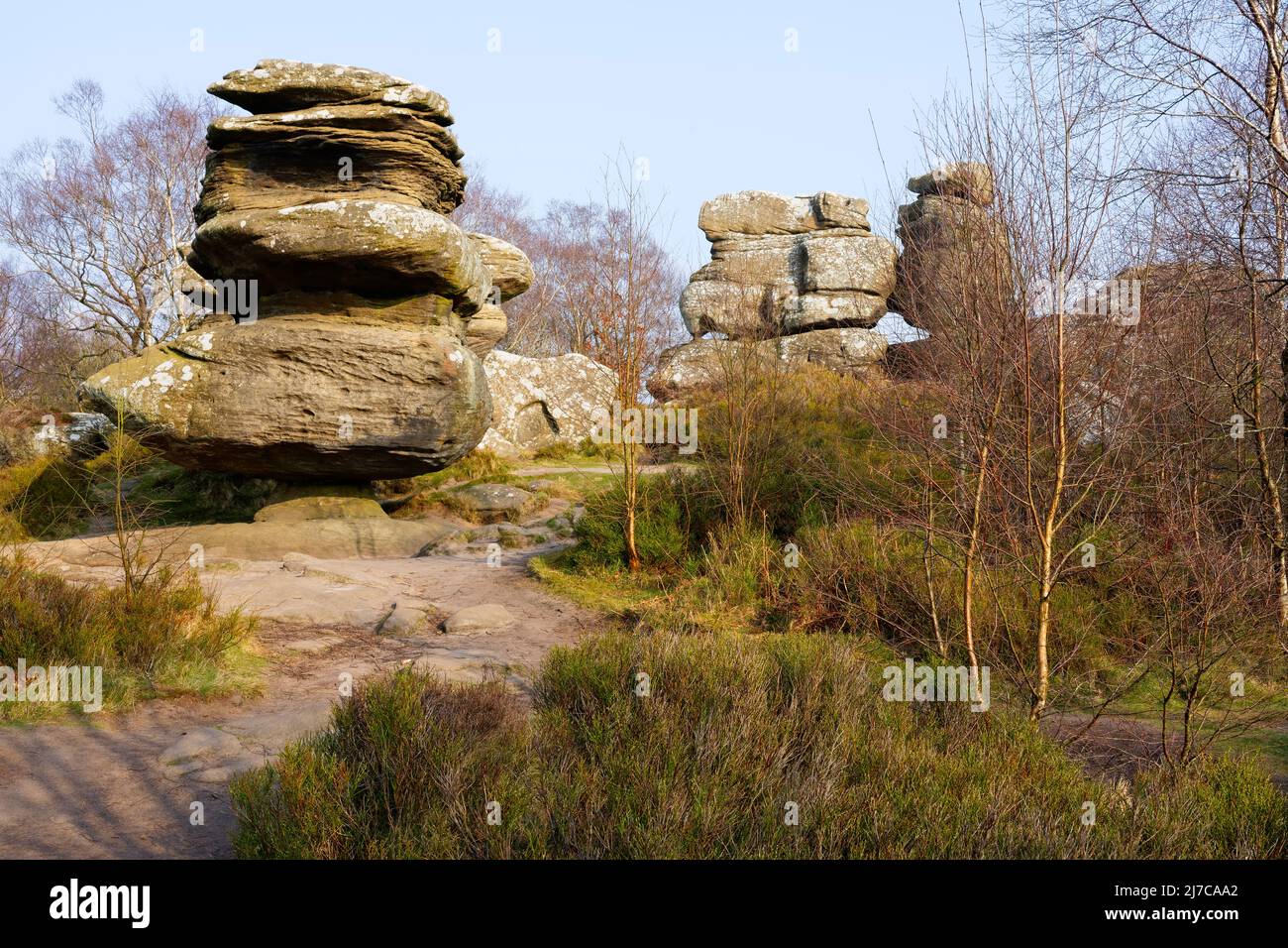Large weathered gritstone rocks stand amongst trees and bushes in North ...