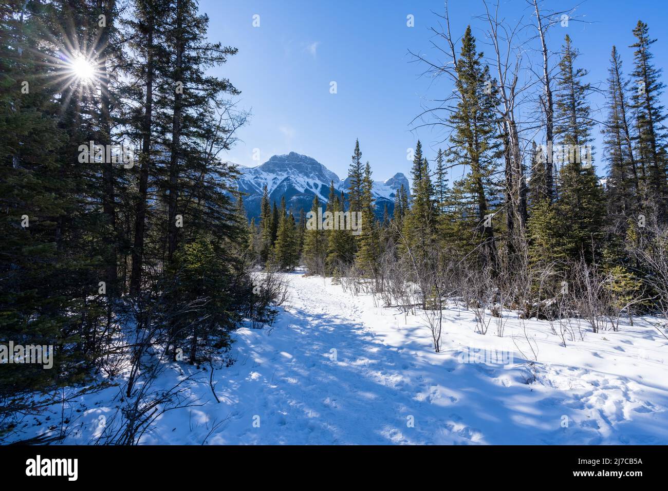 Canadian Rockies beautiful scenery during winter. Snowcapped mountain ...