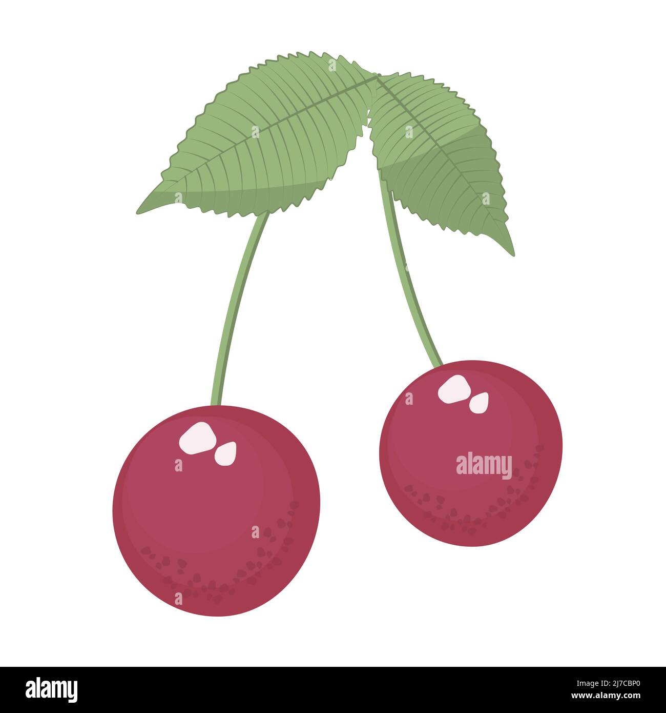Two cherries with leaves, colorful illustration Stock Vector Image ...