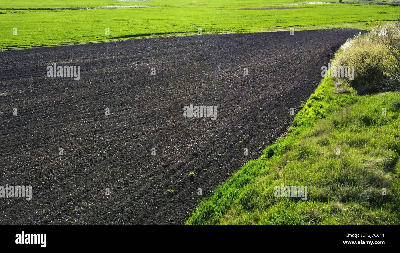 Plot prepared for spring sowing. Field prepared for spring sowing Stock ...