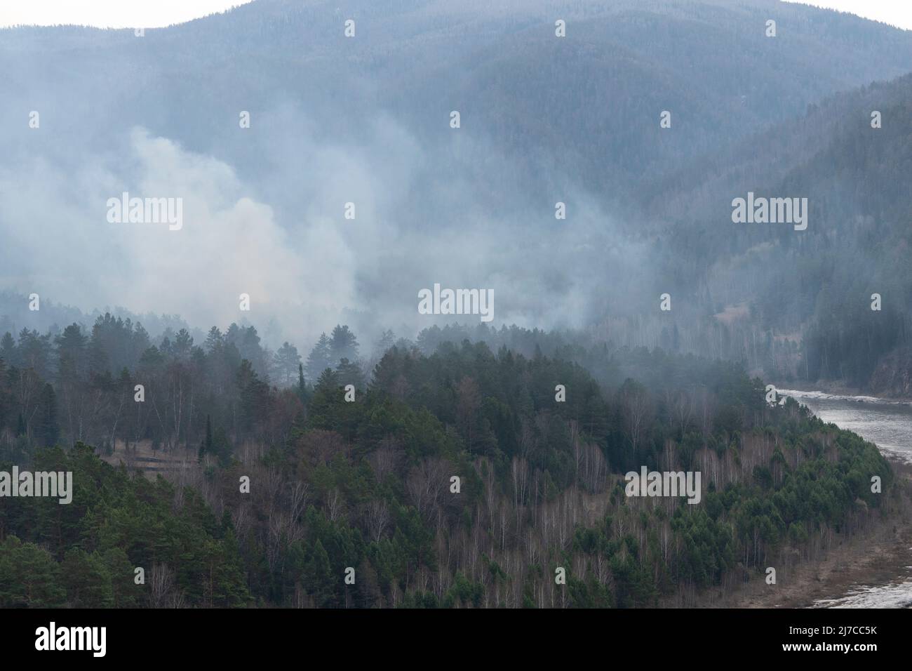 Taiga deforestation hi-res stock photography and images - Alamy