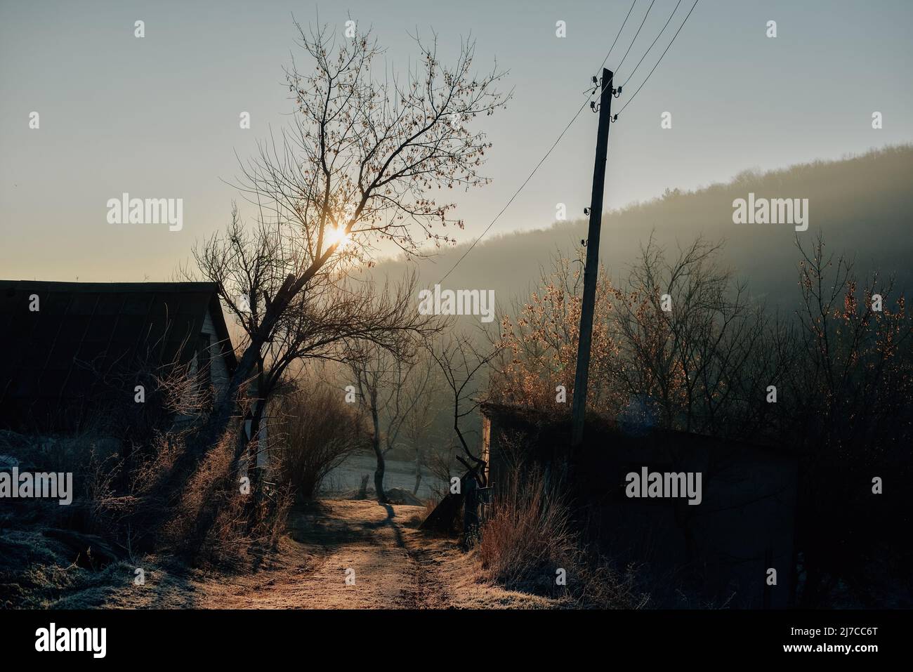 Busha hi-res stock photography and images - Alamy