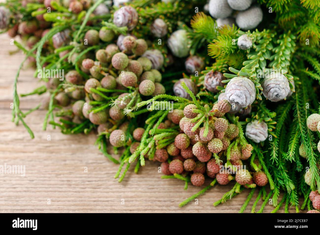 Mixed plants: herbs and shrub twigs. Festive decor Stock Photo - Alamy