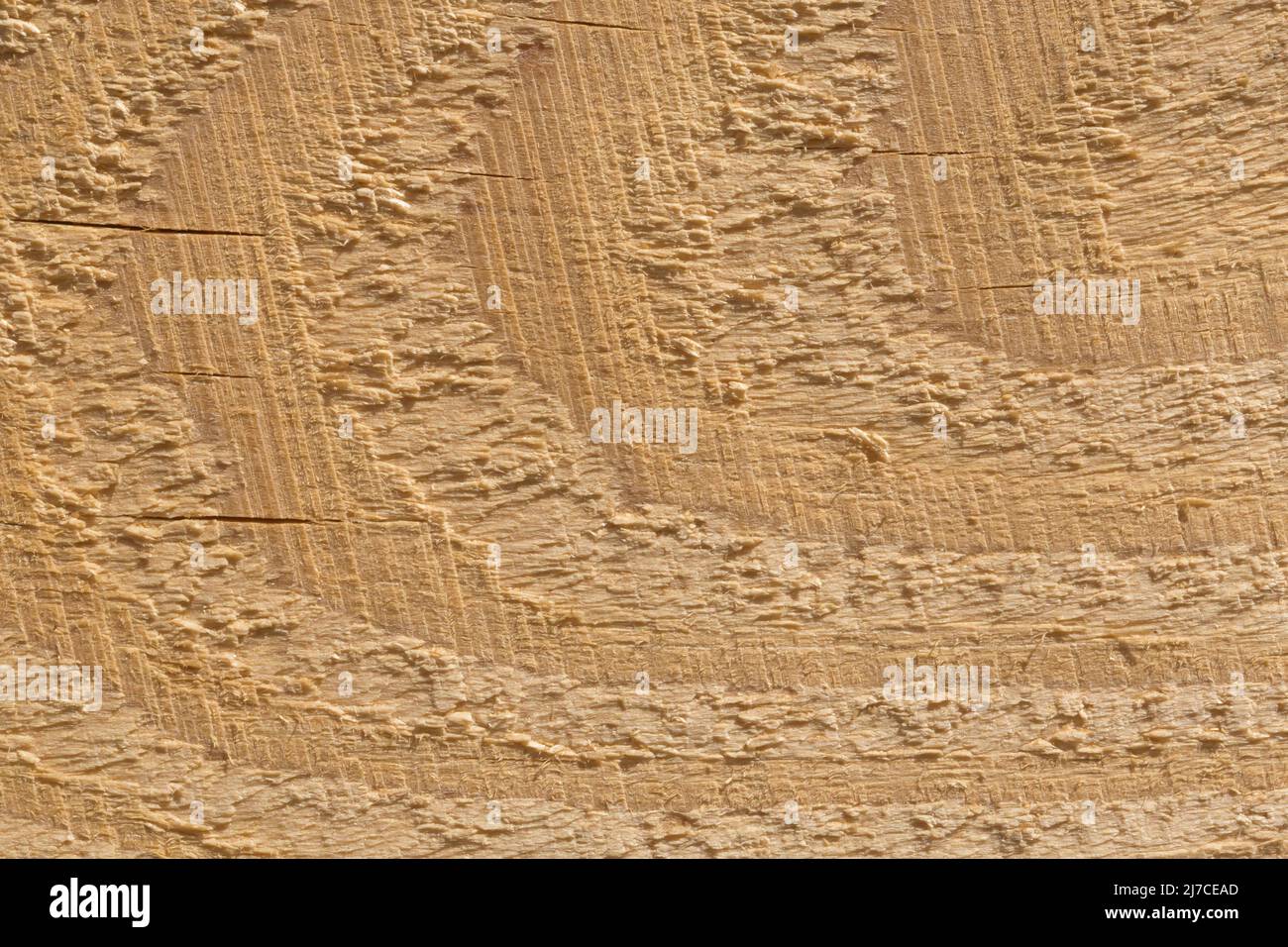 Yellow wood texture hi-res stock photography and images - Alamy