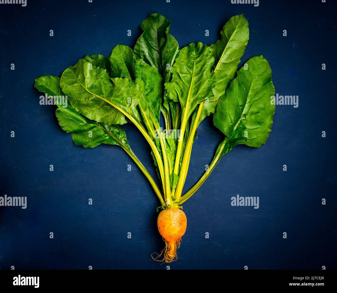 organically grown beets Stock Photo - Alamy