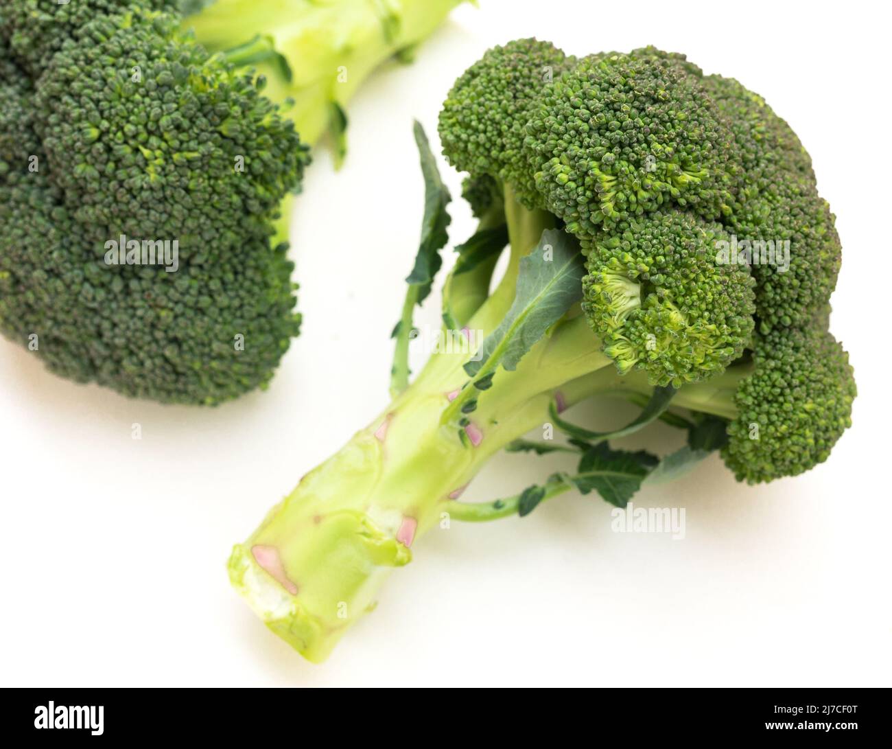 fresh broccoli and florets on white background Stock Photo - Alamy
