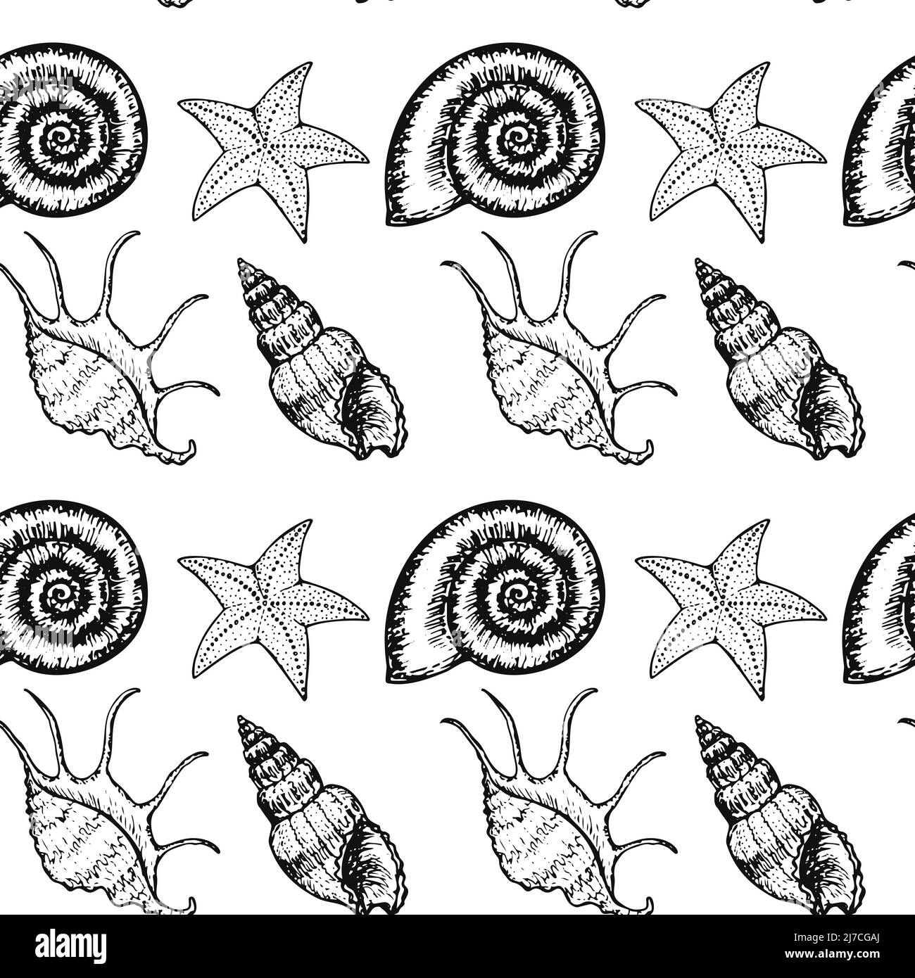 Sea Animals Sketched Seamless Pattern. Marine Life Creatures Hand drawn ...
