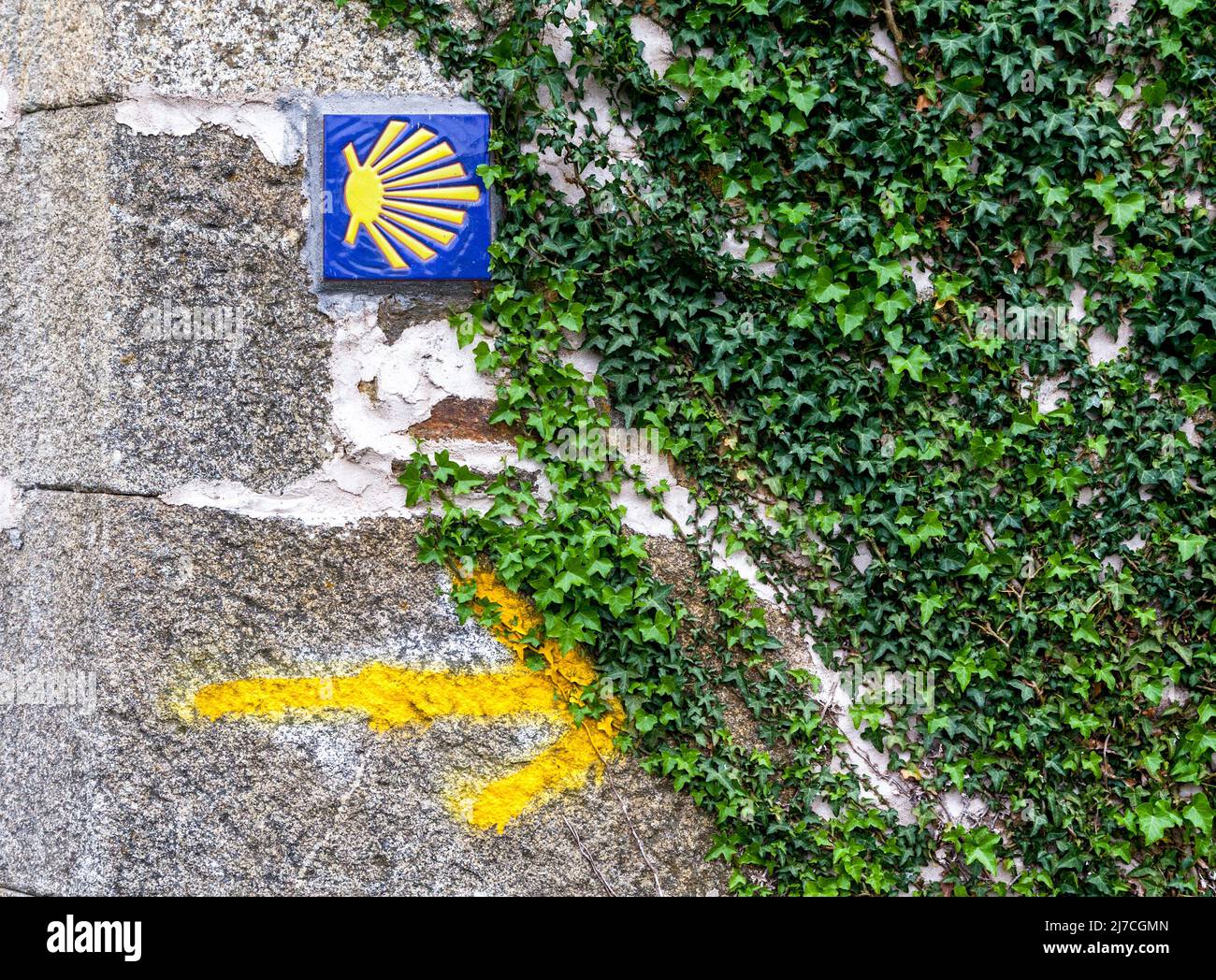 Road sign of Camino de Santiago Stock Photo - Alamy