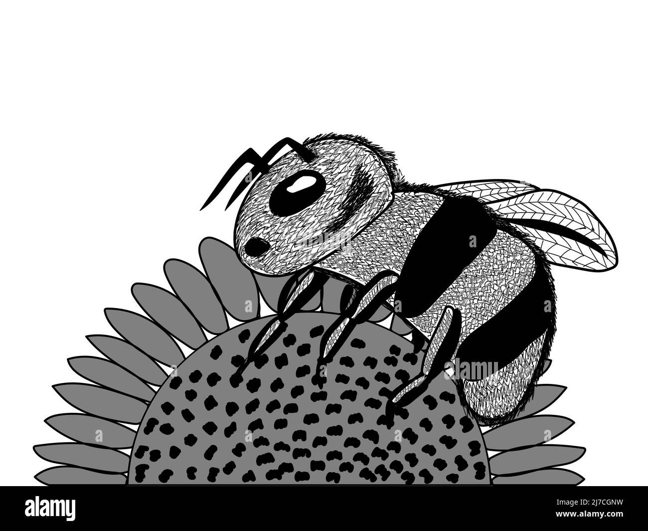 On wings summer love Stock Vector Images - Alamy