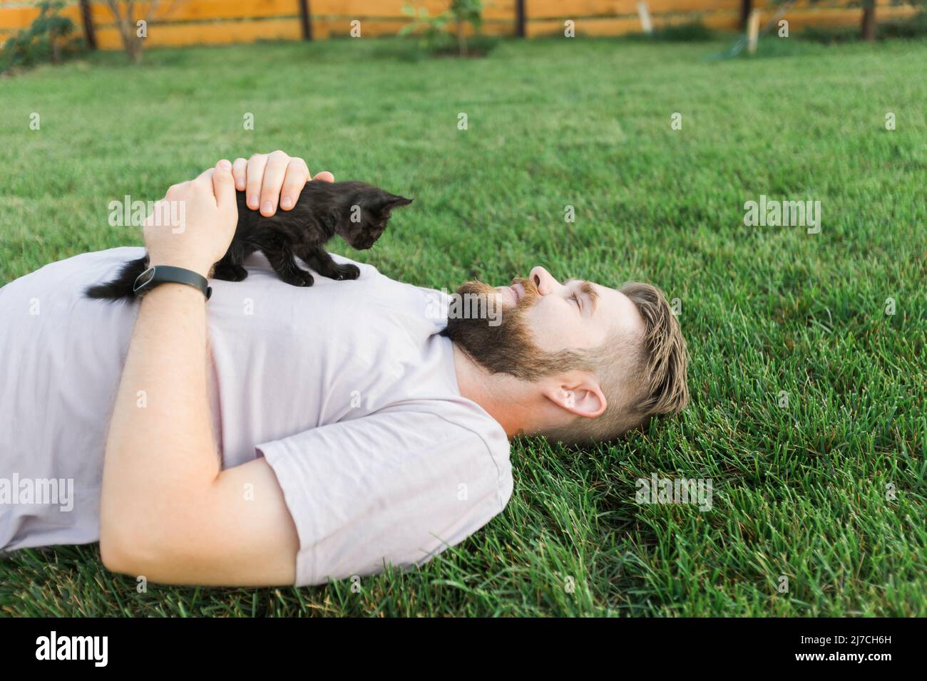 Man with little kitten lying and playing on grass - friendship love ...