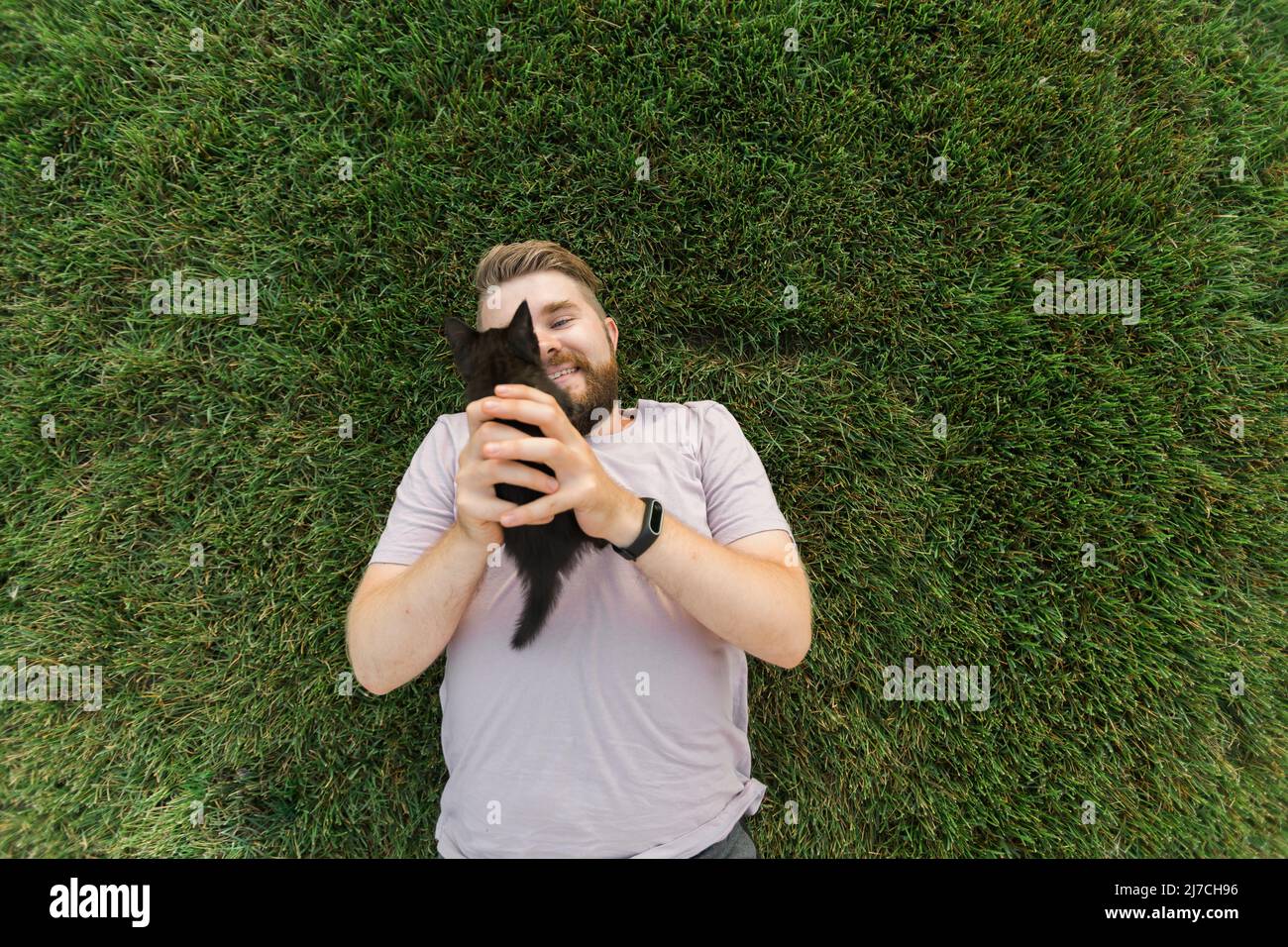 Man with little kitten lying and playing on grass - friendship love ...