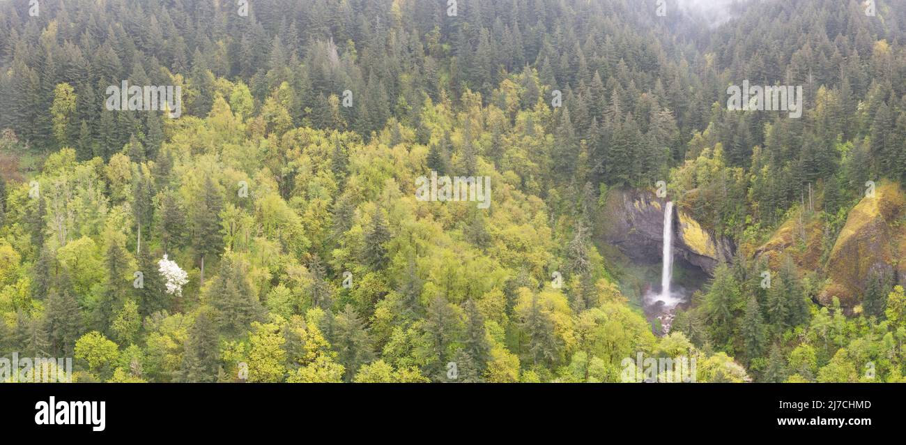 Surrounded by beautiful forest, a huge waterfall drops almost 250 feet ...