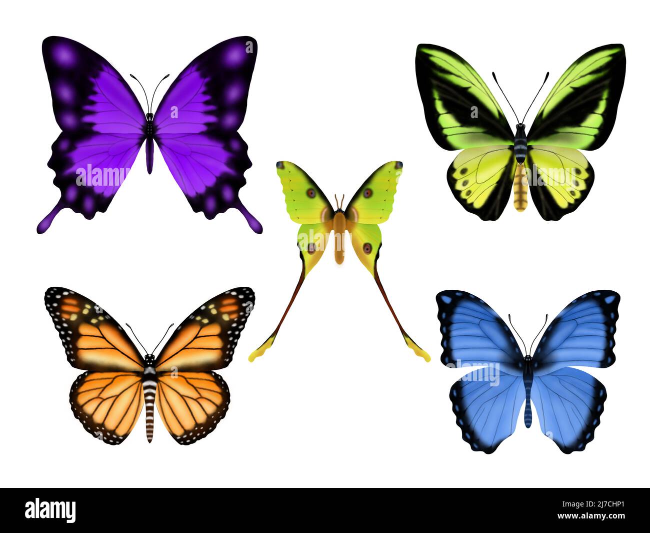 Set of beautiful colorful butterflies Stock Photo - Alamy
