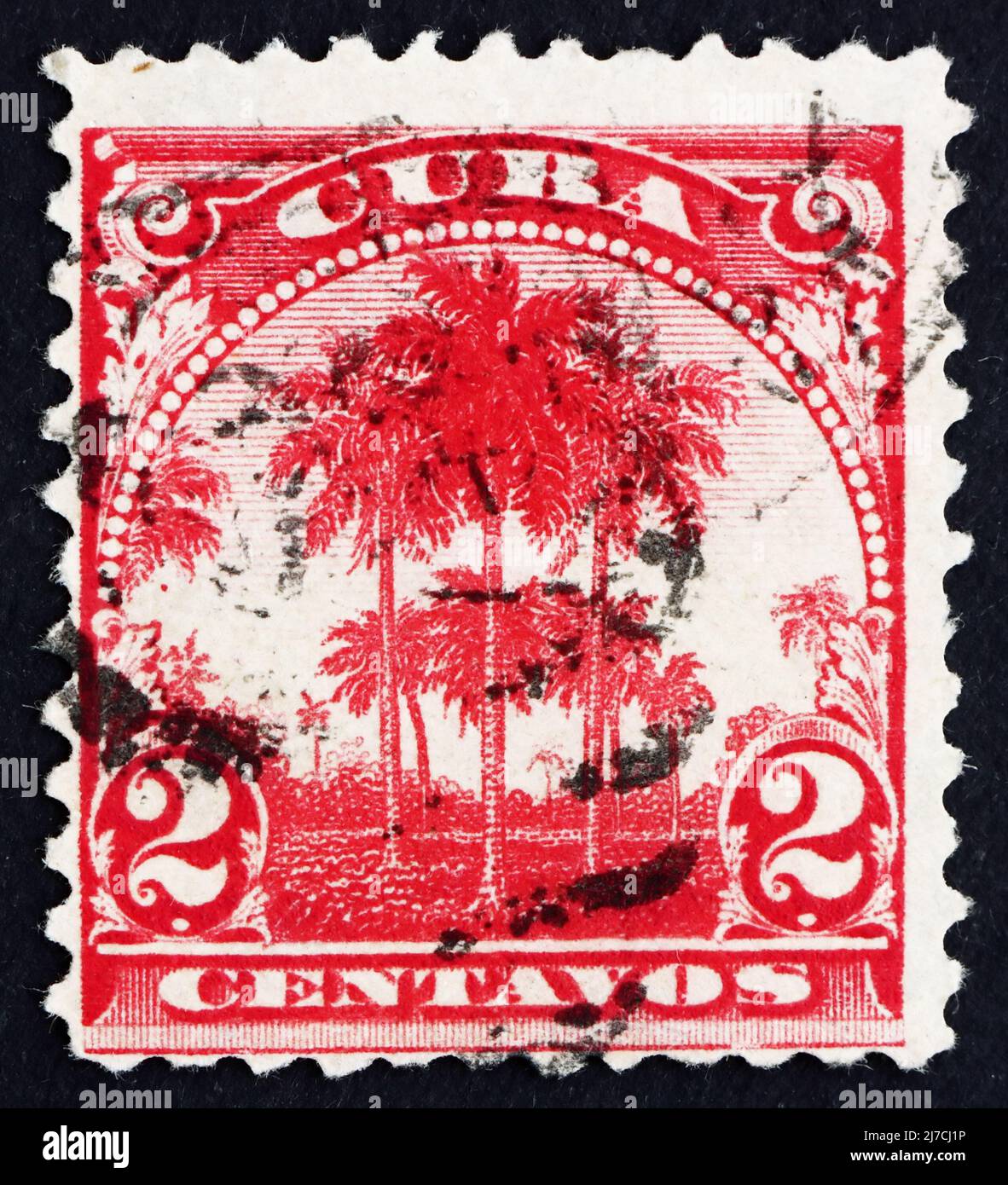 CUBA - CIRCA 1899: a stamp printed in the Cuba shows Royal Palms ...