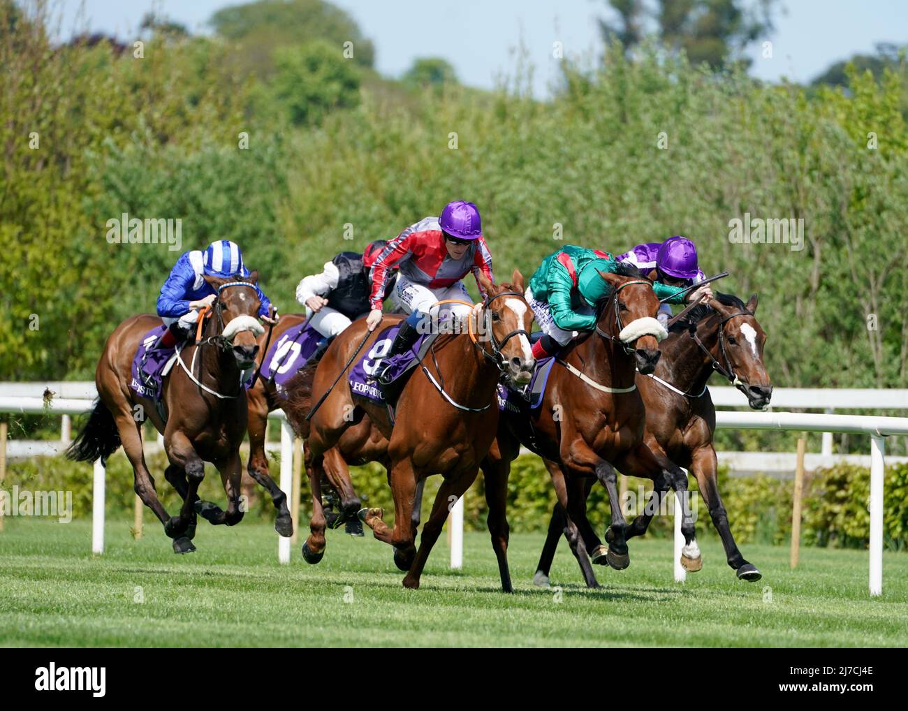 Female soldier on horse hi-res stock photography and images - Alamy