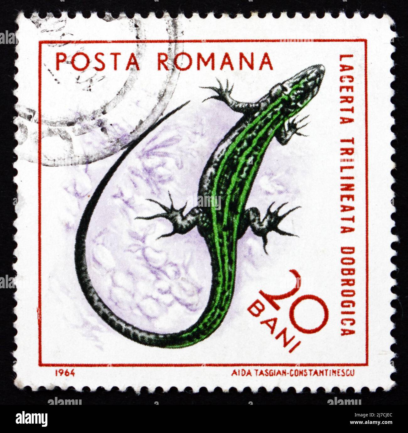 ROMANIA - CIRCA 1965: a stamp printed in the Romania shows Three-lined ...