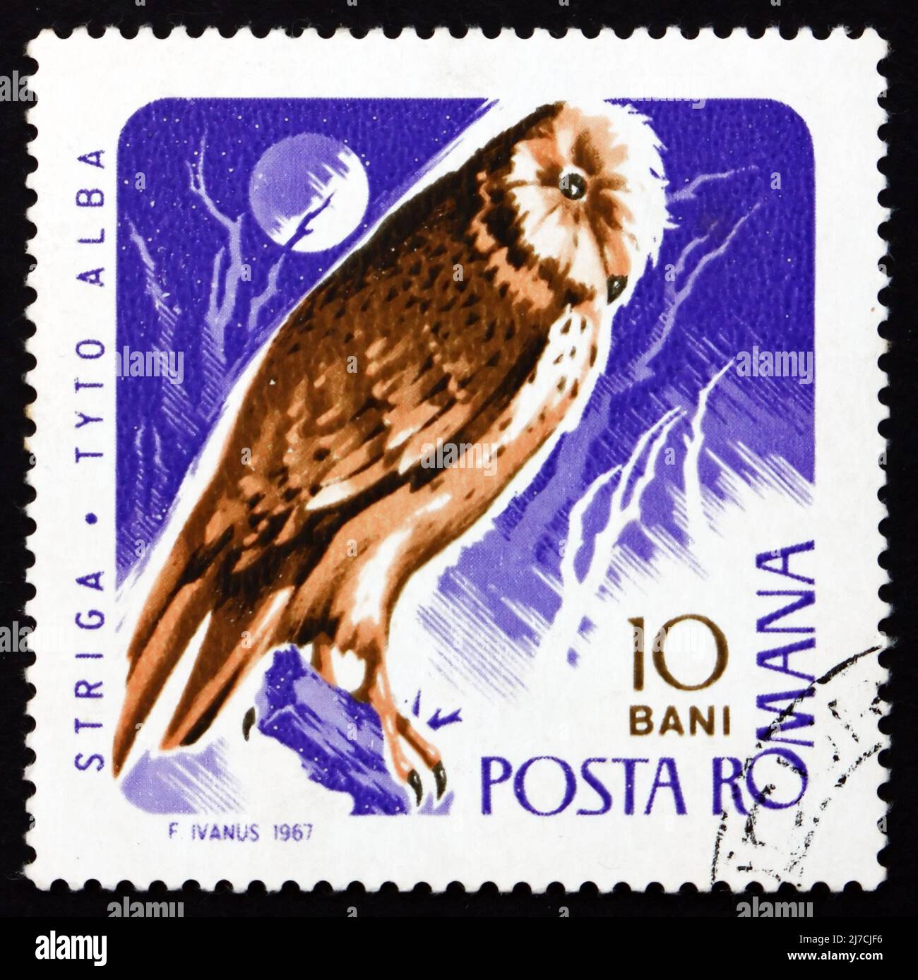 ROMANIA - CIRCA 1967: a stamp printed in the Romania shows Barn Owl ...