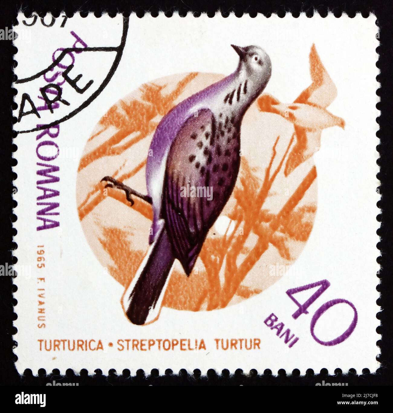 ROMANIA - CIRCA 1965: a stamp printed in the Romania shows Turtle Dove ...