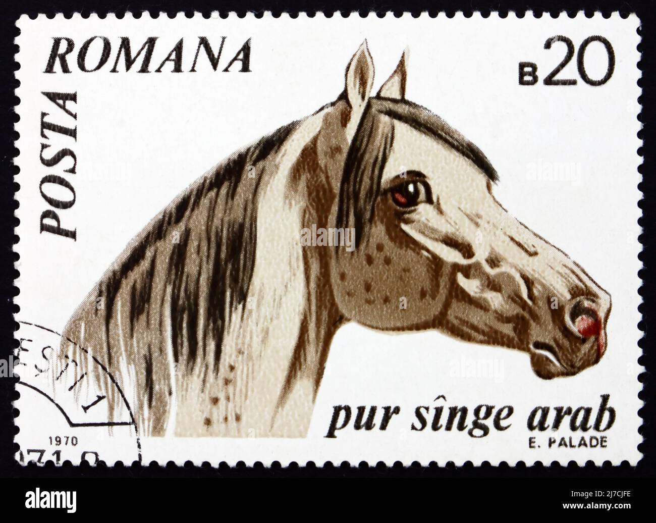 ROMANIA - CIRCA 1970: a stamp printed in the Romania shows Arabian ...