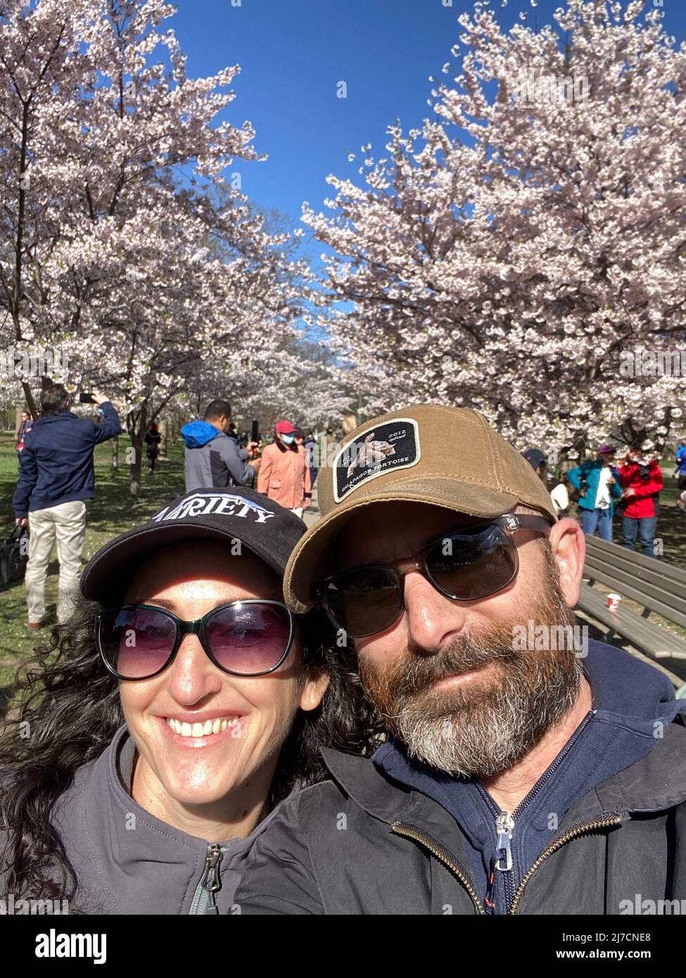 PEOPLE VISIT THE CHERRY BLOSSOM TREES AT TRINITY BELLWOODS PARK Stock ...