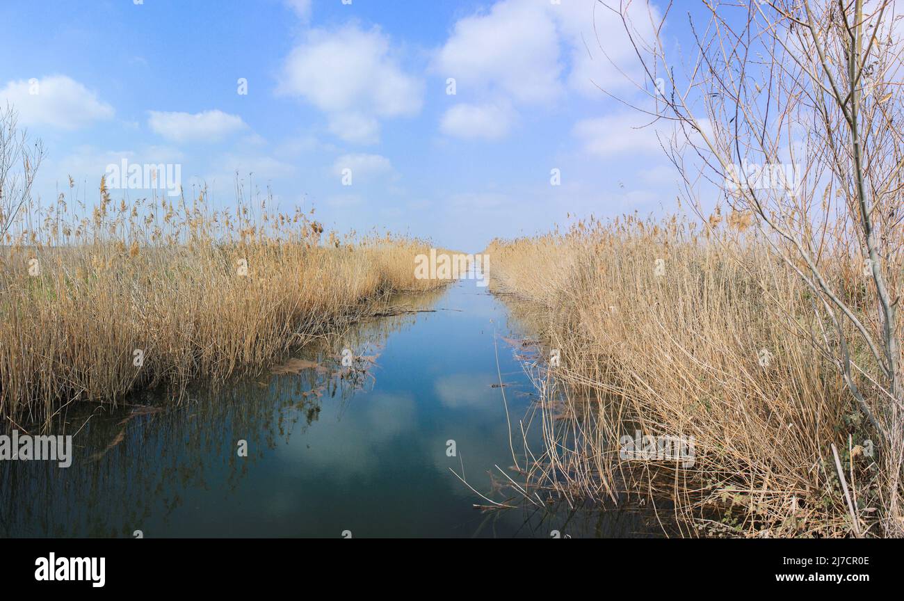Reed river hi-res stock photography and images - Alamy