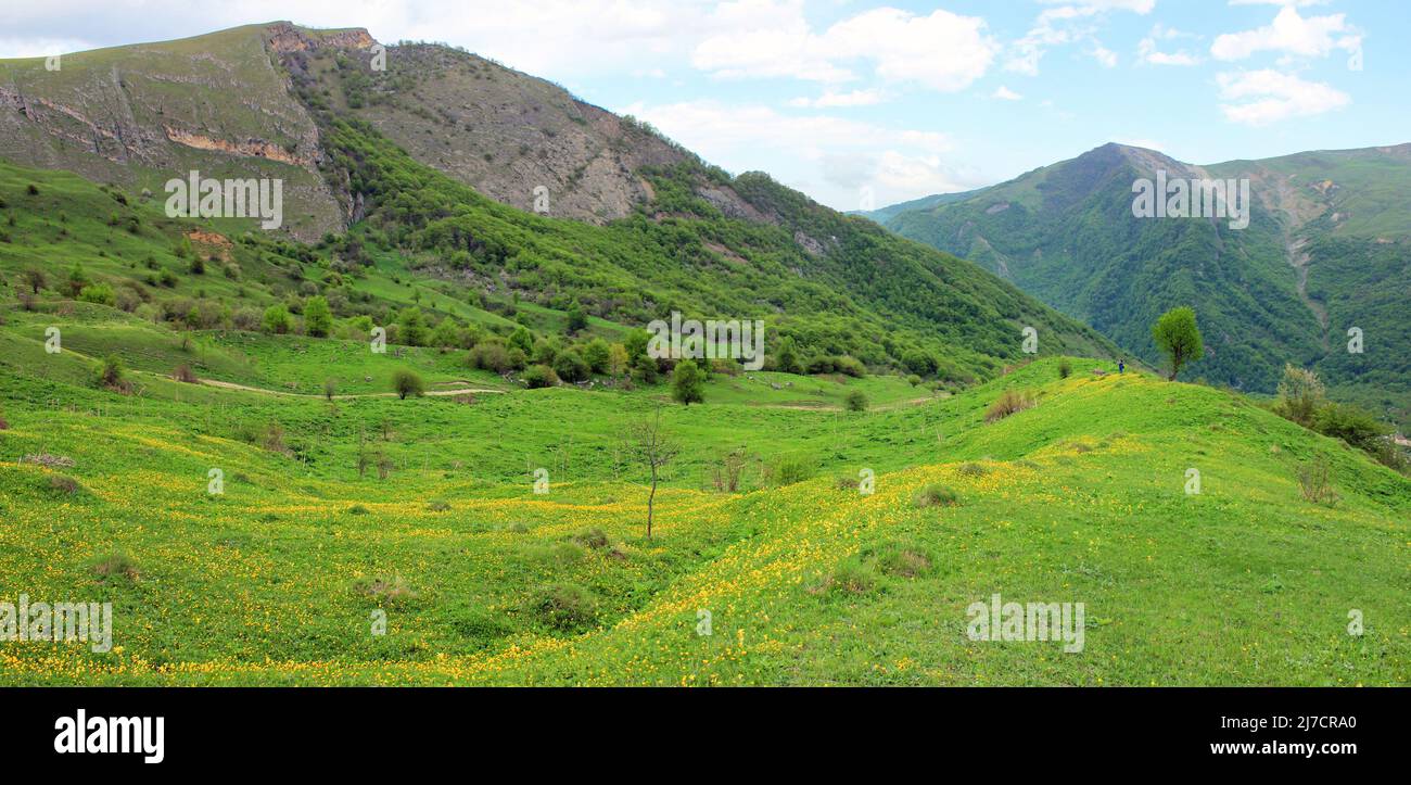 Beautiful green fields in the mountains. The village of Gryzdakhnya ...