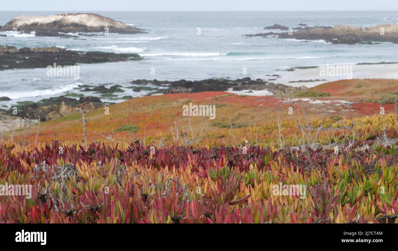 Scenic 17-mile drive, Monterey, California USA. Rocky craggy ocean, sea water waves crashing on ...