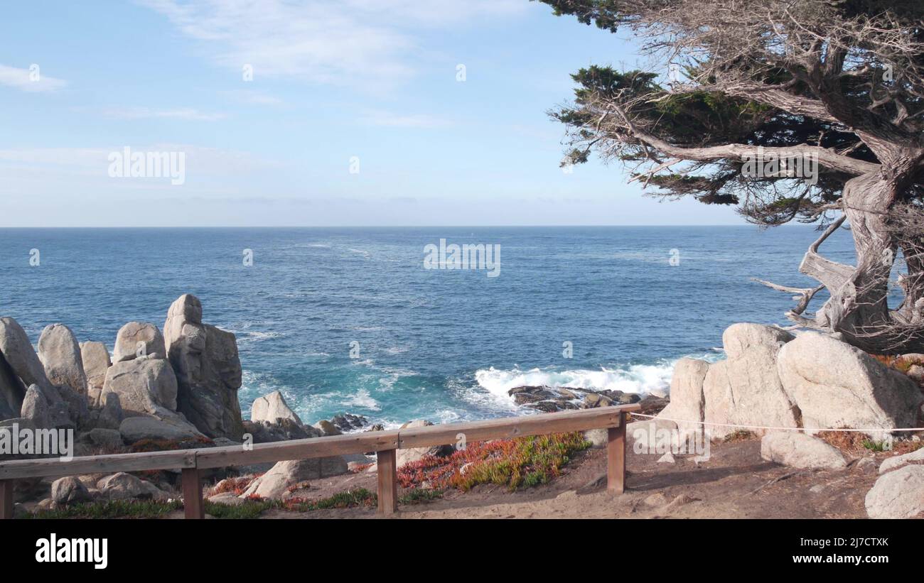 Rocky craggy ocean coast and cypress grove, blue water waves and ...