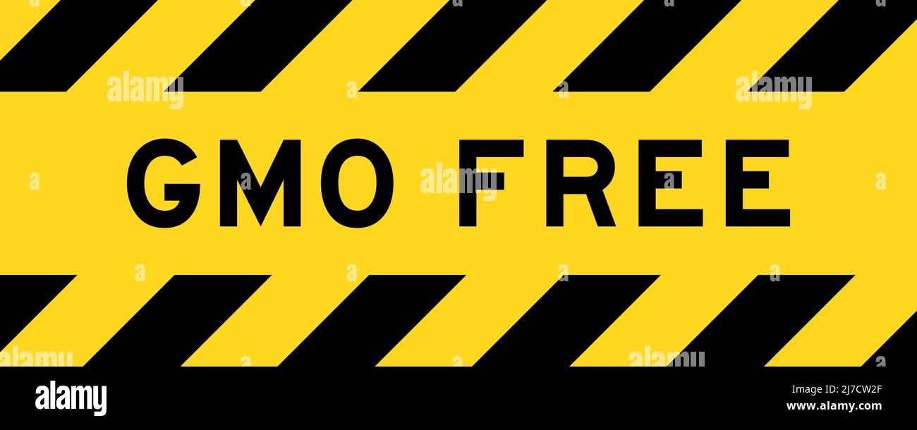 Yellow and black color with line striped label banner with word GMO ...