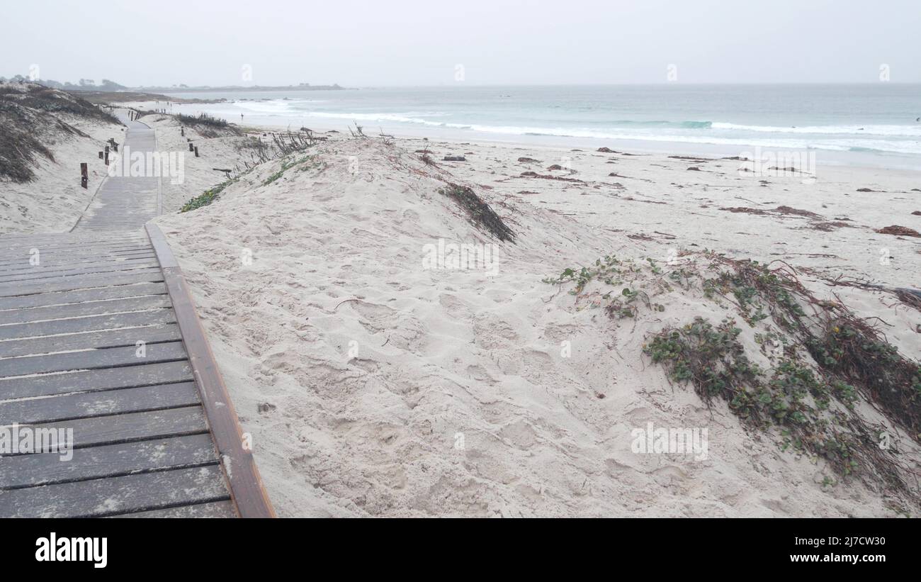 Ocean beach sandy dunes, Monterey nature, California misty coast, USA ...