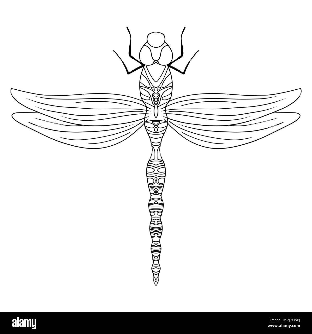 Vector outline dragonfly illustration isolated on white background ...