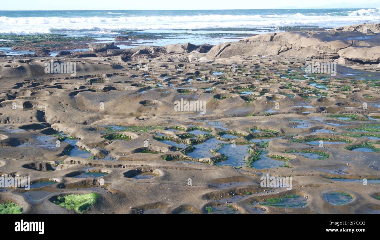 Eroded rock formation, tide pool in La Jolla, California coast, USA ...