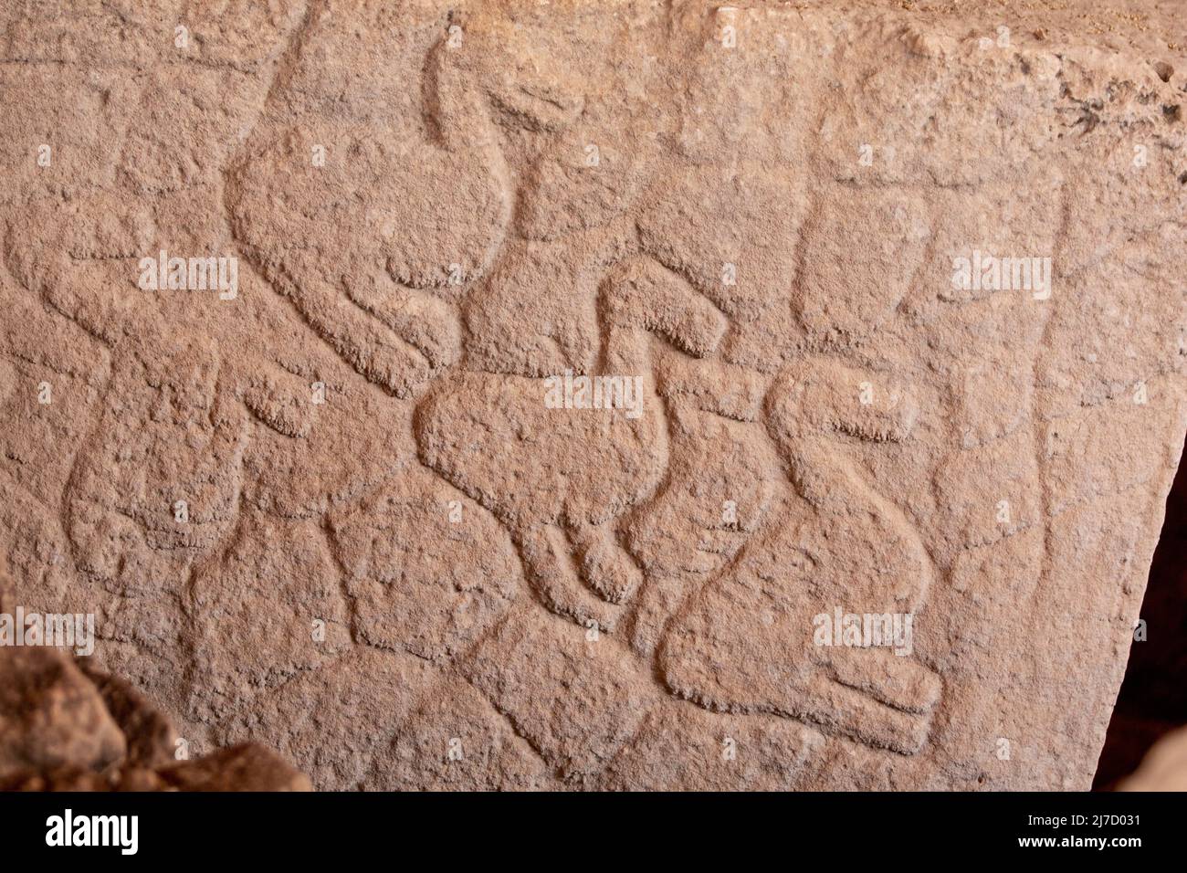 Gobekli Tepe is an archaeological site at the top of a mountain ridge ...